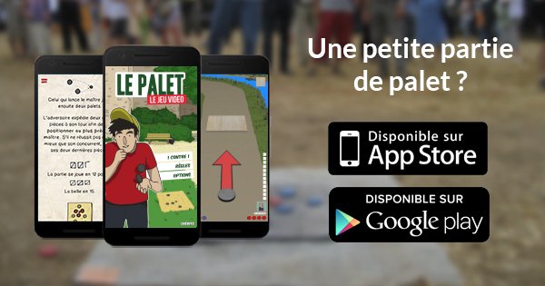 Le palet - Le jeu vidéo